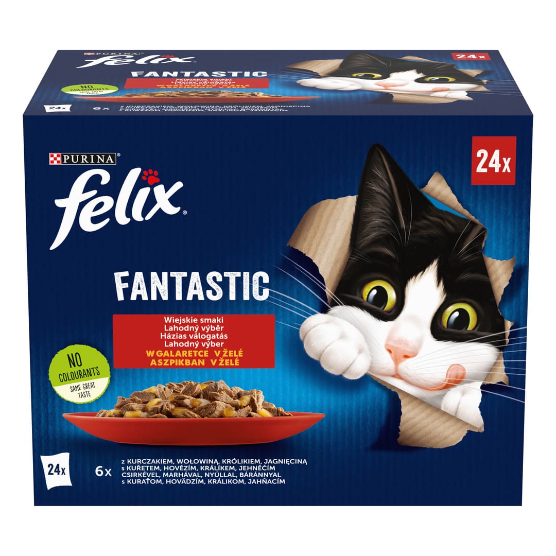 FELIX® Fantastic Multipack | Výběr z masa 24x