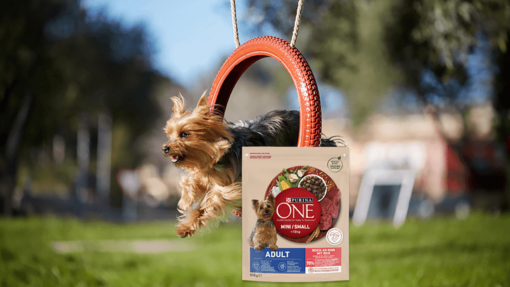 Novinky a akce. Zúčastněte se a vyhrajte! | Purina